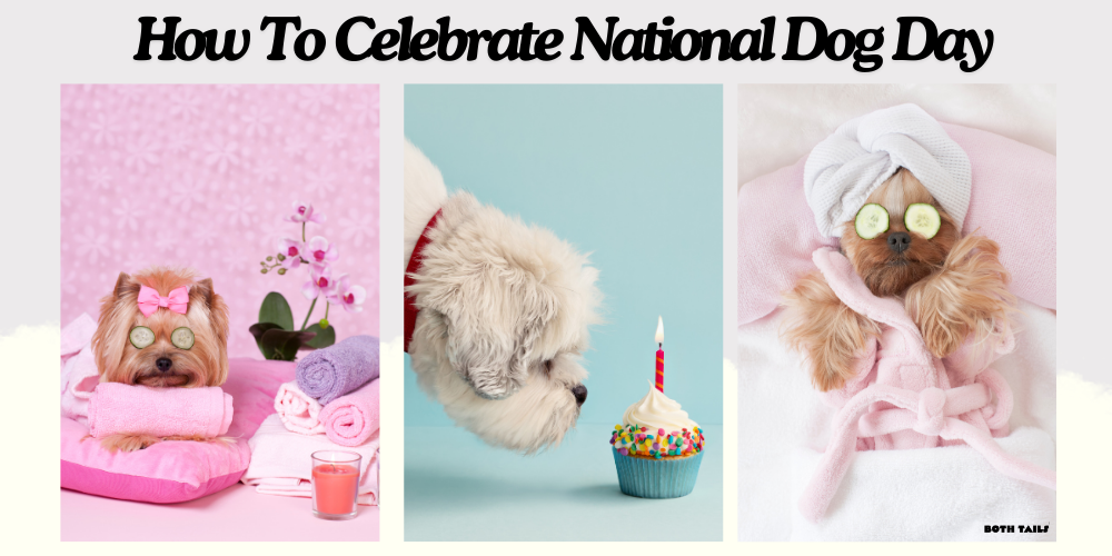 How to Celebrate National Dog Day: Ideas for a Paw-some Party – Both Tails